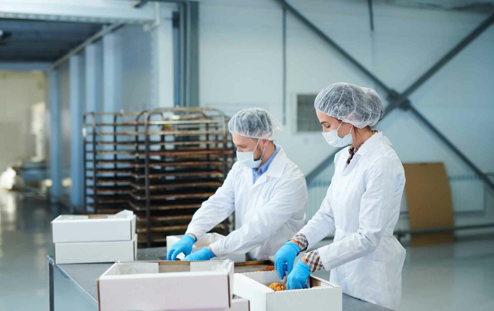 Todo lo que necesitas saber sobre la seguridad alimentaria | Entorno ...